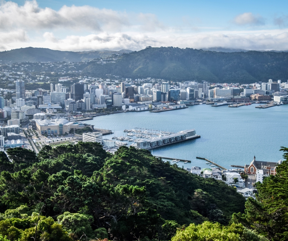 Position Filled - RiskNZ